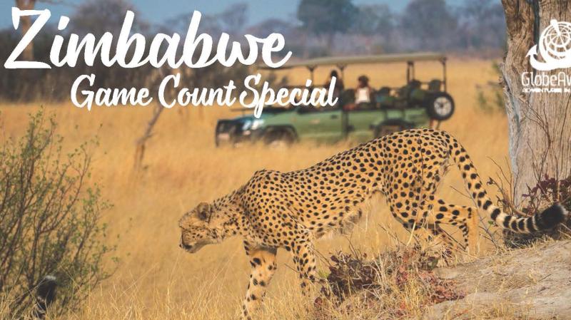 Brochures - Globe Aware - Adventures in Service