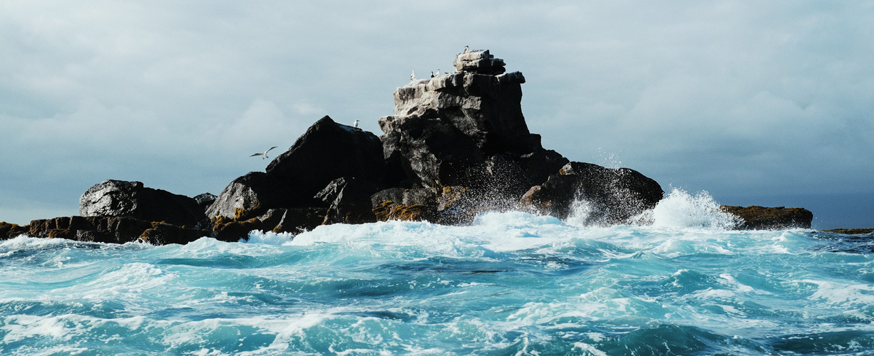 Galápagos Islands Conservation